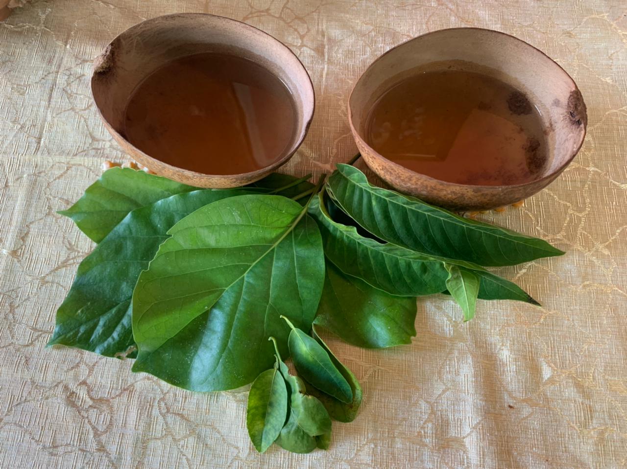 Steeped in Tradition: 7 Belizean Teas to Try - Belize Living Heritage